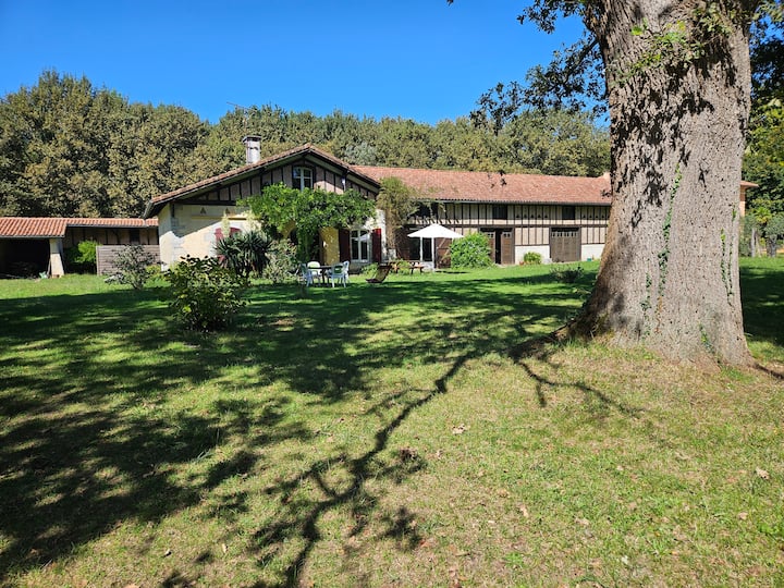 Maison 8 Personnes Sur Grand Terrain Arboré - Seignosse