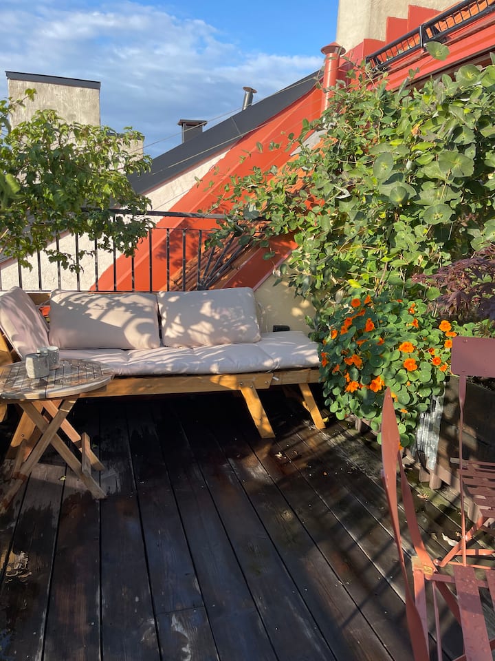 Top Floor Apartment With A Sunny Roof Terrace - Oslo