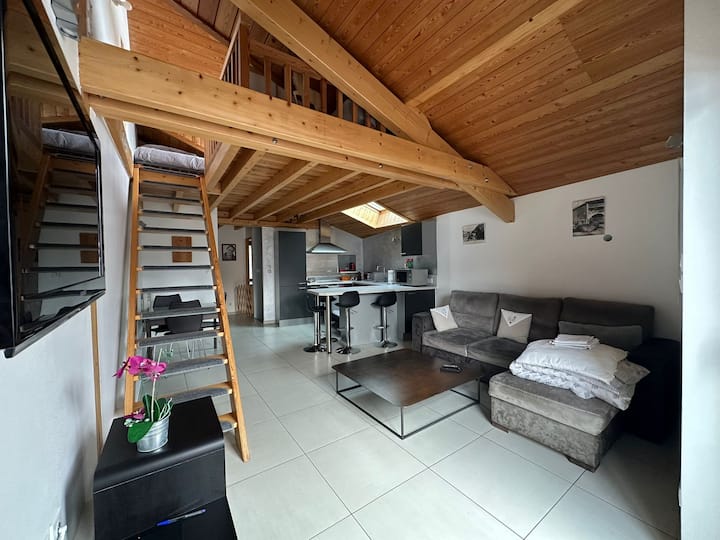 Appartement T3 Ensoleillé Et Lumineux - Briançon