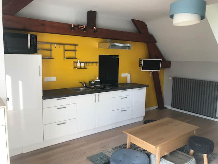 Studio Au Calme, Tout Confort - Angers