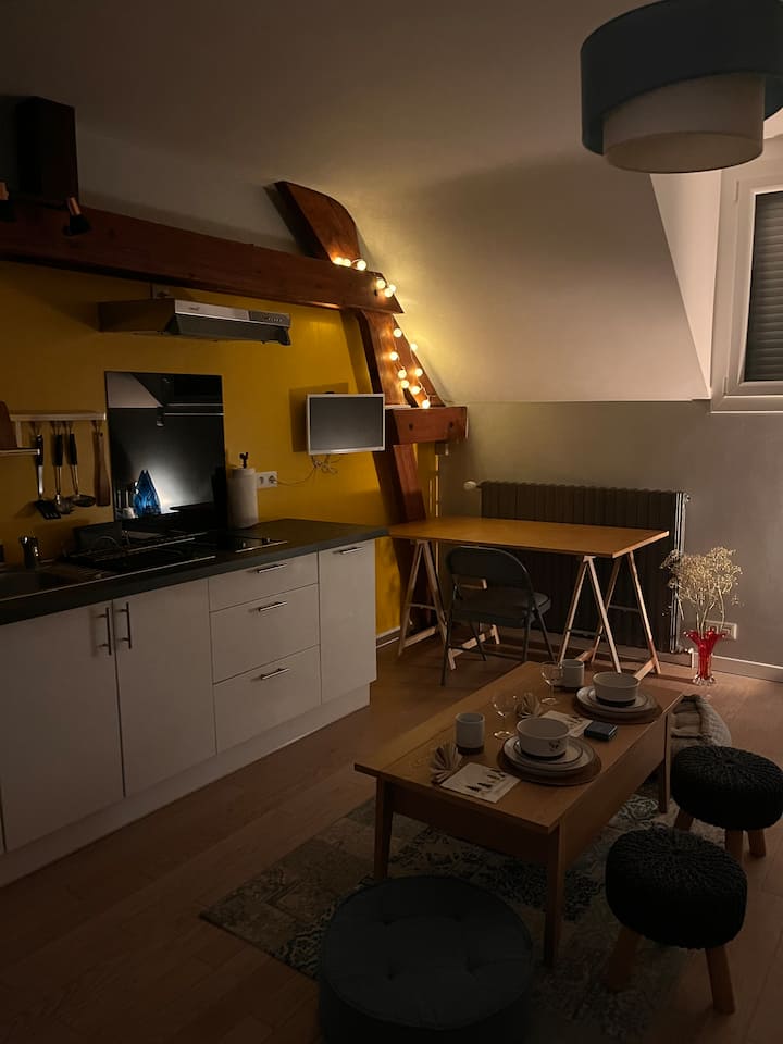 Studio Au Calme, Tout Confort - Angers