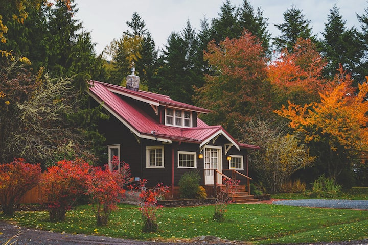 Summit Suite At Ashford Lodge: Projector, Hot Tub! - Ashford, WA