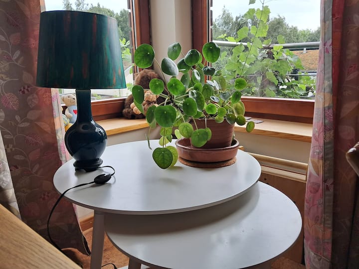 Studio Confortable Et Lumineux, à L'orée D'un Bois - Wavre
