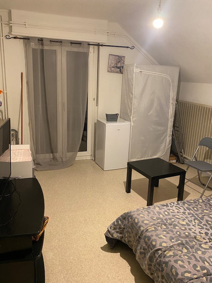 Beaux Studio à Louer - 뮐루즈