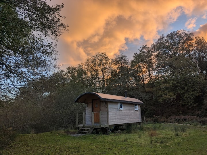 Private Riverside Hut Amidst Snowdonia Birdsong - Wales