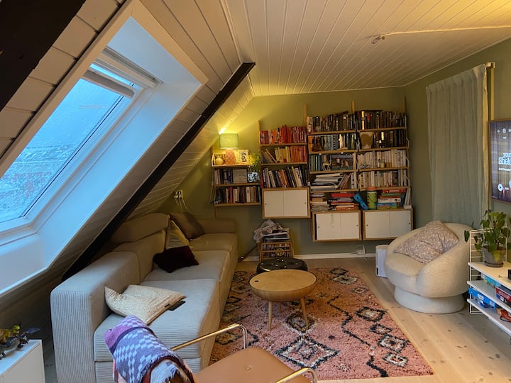 Sjarmerende Torshovleilighet - Oslo