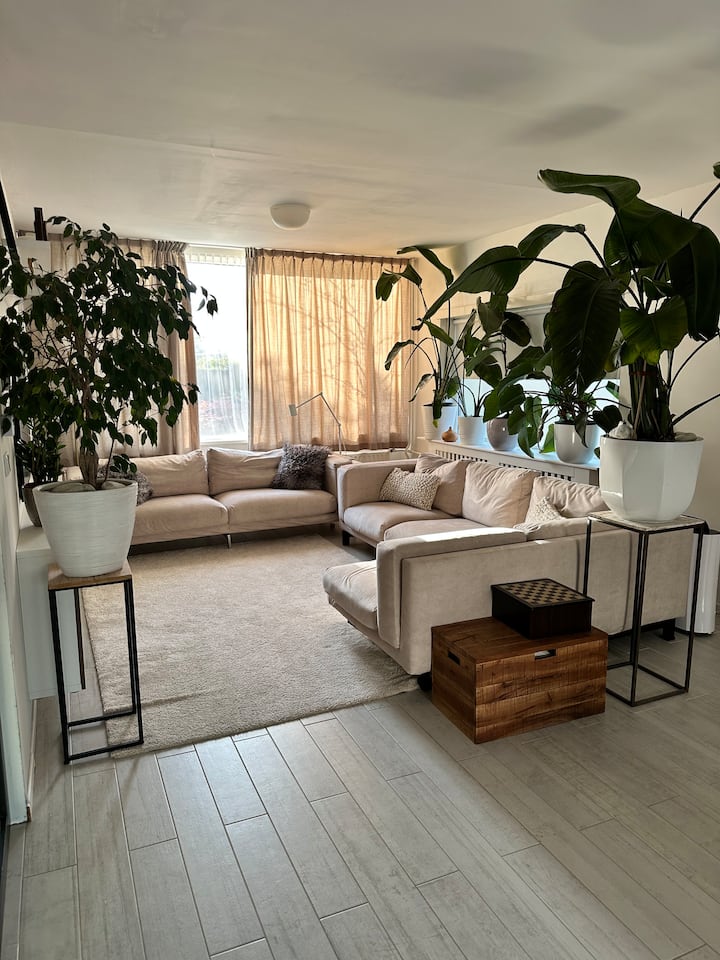 Cozy & Lush House In Amsterdam - 阿姆斯特丹