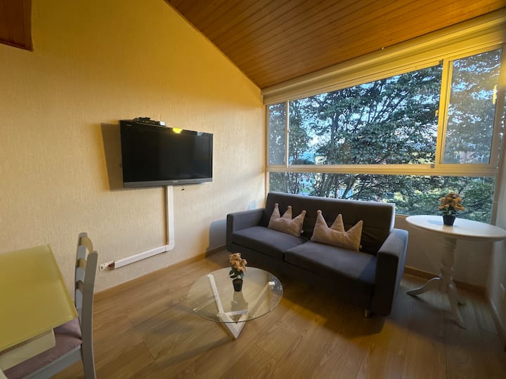 Lindo Apartamento Amoblado Norte - Bogotà