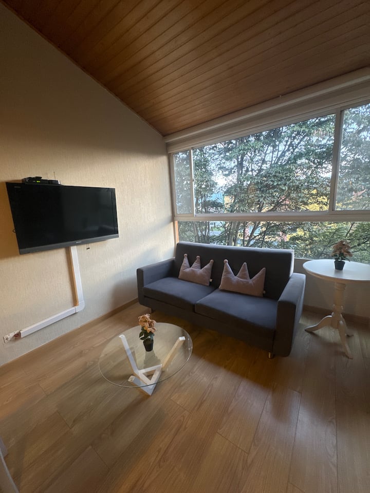 Lindo Apartamento Amoblado Norte - Bogota