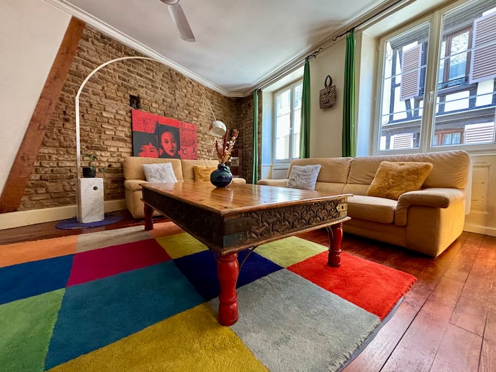 Appartement T4 à La Petite France - Strassburg