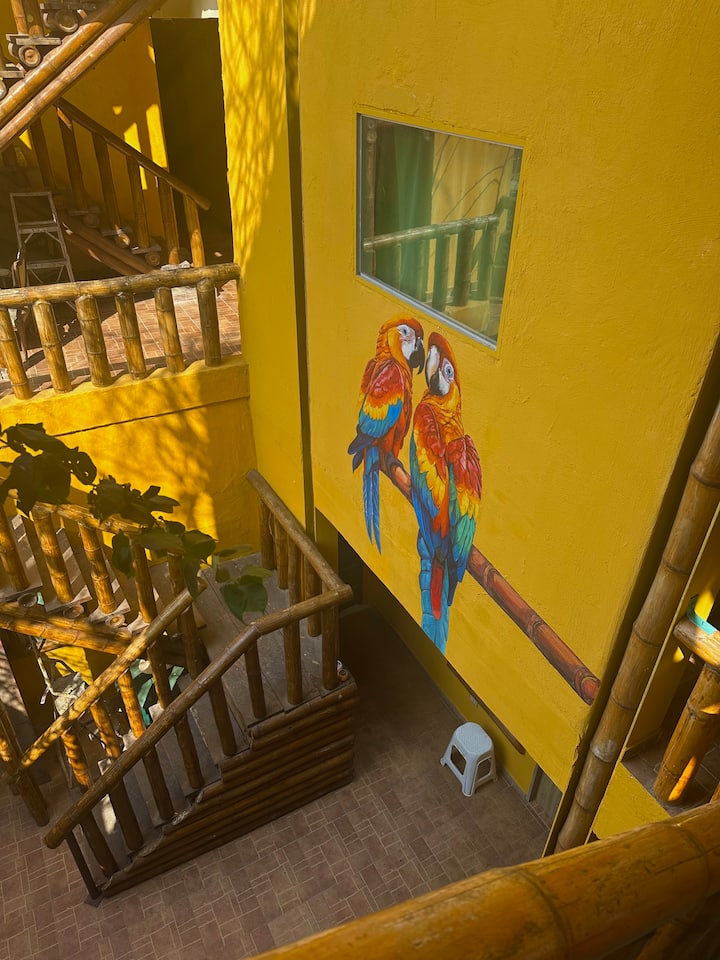 Habitación Tropical - Cartagena, Colombia