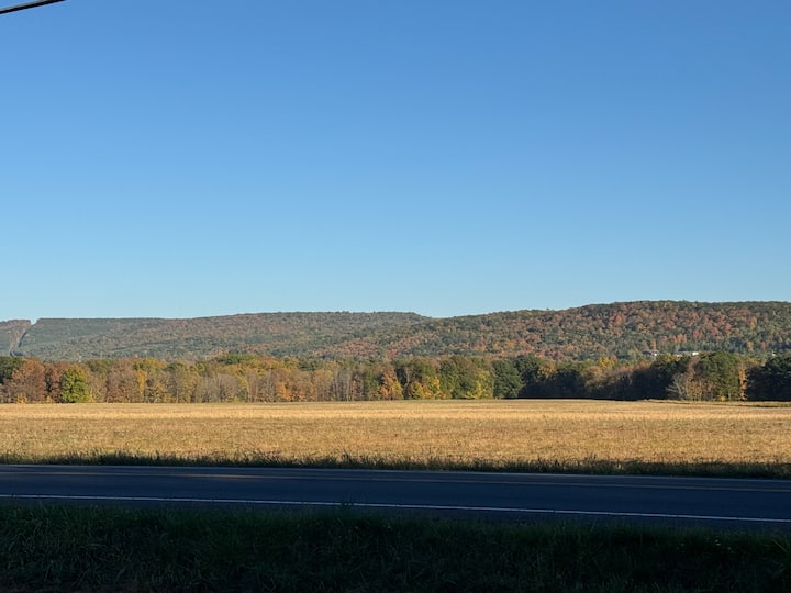 Close To Everything -Tucked Away From The Noise. - Lansing, NY