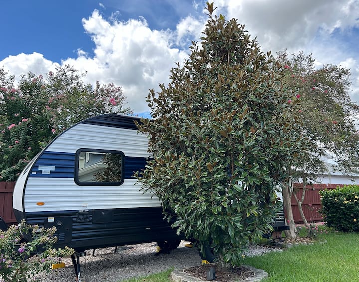 The Cozy Hive - Kissimmee, FL