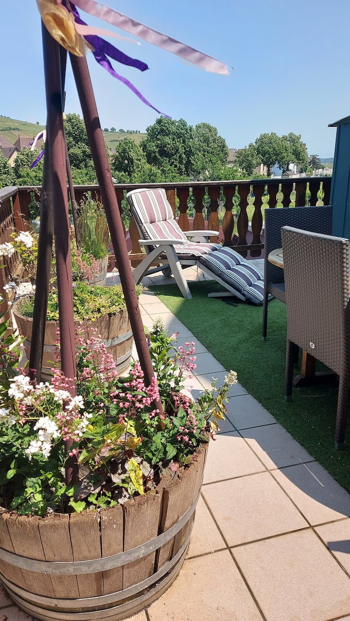 Gîte Tokay Spacieux 4 -8 Pers - Riquewihr