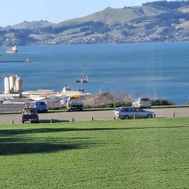 Absolute Magic In Mornington - Dunedin