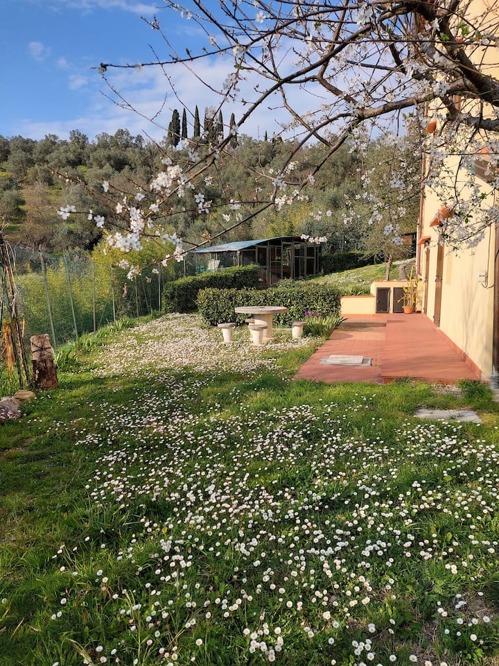Dependance Nel Chianti A Pochi Minuti Da Firenze - Scandicci