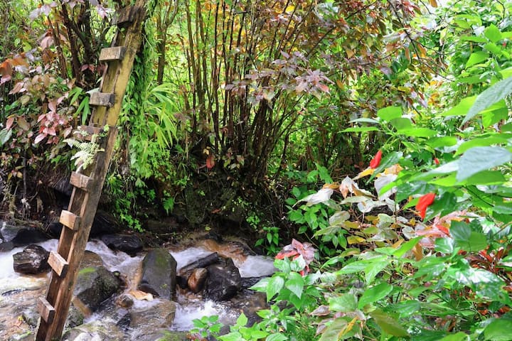 R & R Mountain Retreat – Green Serenity - Dominica