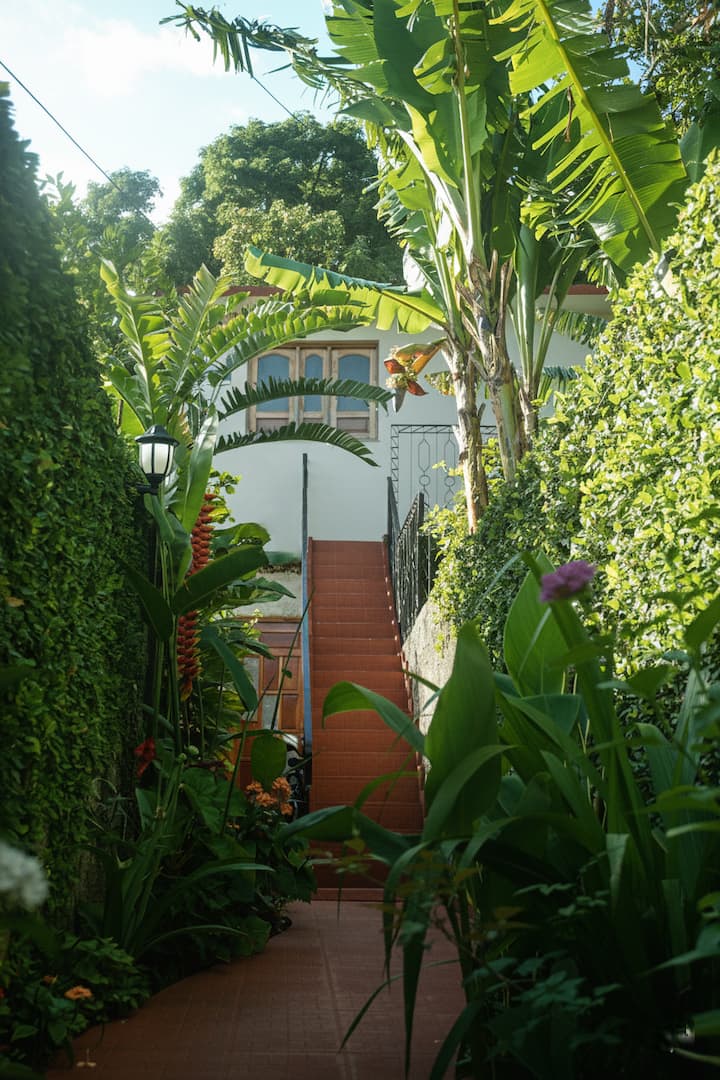 Incl: Breakfast, Wi-fi, Bikes, 24h Power / Laundry - Vinales