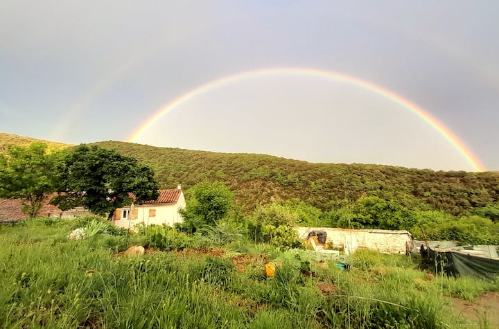 Maison Au Pied De La Montagne Noire 10-13 Pers Max - France