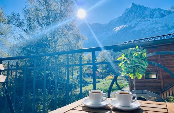 Appartement Vue Mont Blanc Avec Parking - Aiguille du Midi