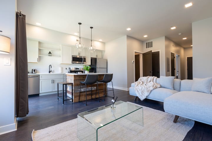 D3- Luxury 1 Bed/ 1 Bath Apt - Cleveland