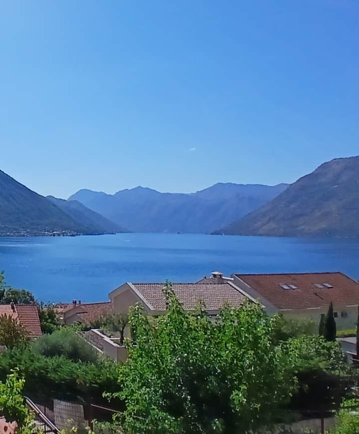 Apartment Bojanaa - Kotor