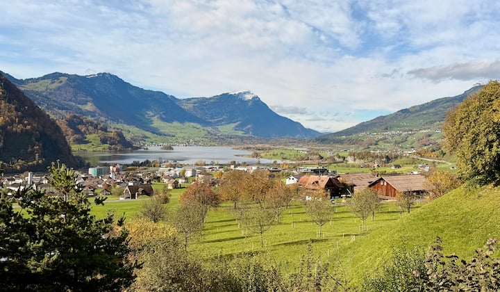 Cozy Schwyz Mountain View Retreat - Stoos