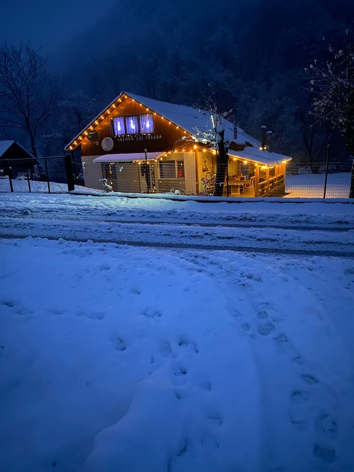 Cabana Lui Foardă - Tismana