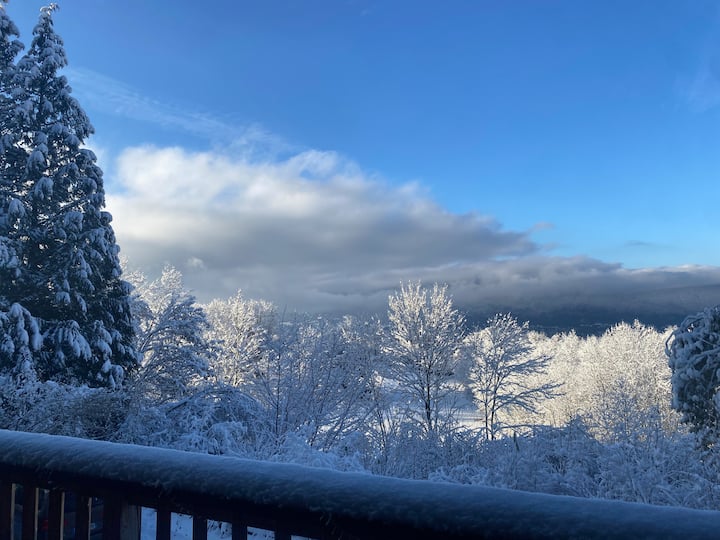 Chalet Familial Typique Et Chaleureux - Menthon-Saint-Bernard