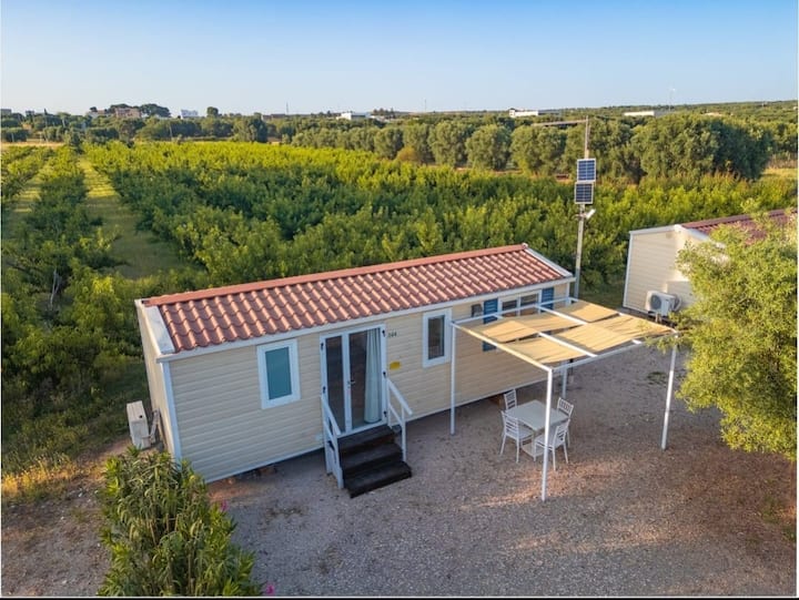 ' Malva' In Agriturismo Vicino Al Mare - Apulia