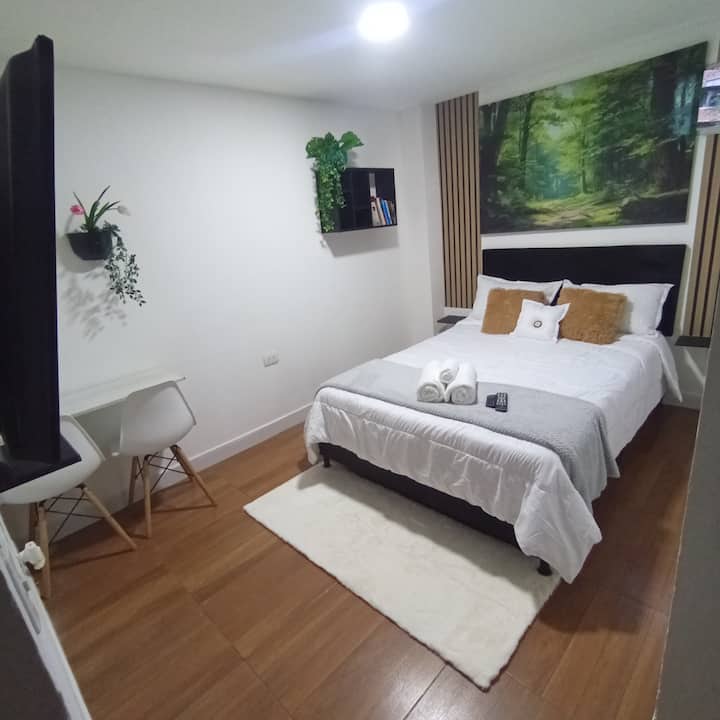Internal Studio Apartment - Caldas
