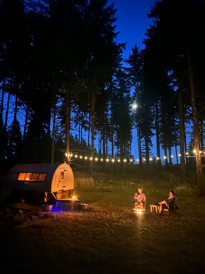 Oregon Trail Covered Wagon - Creek Side - オレゴン州