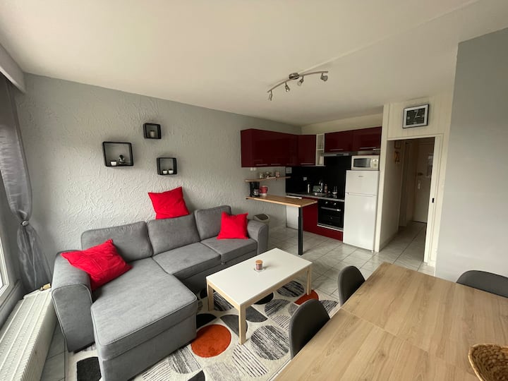 Studio Pied Des Pistes - Cantal