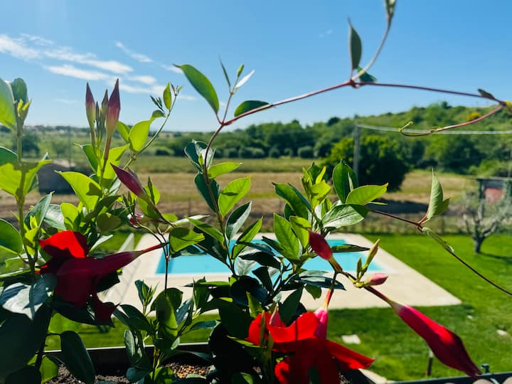 Relax E Natura - Fano