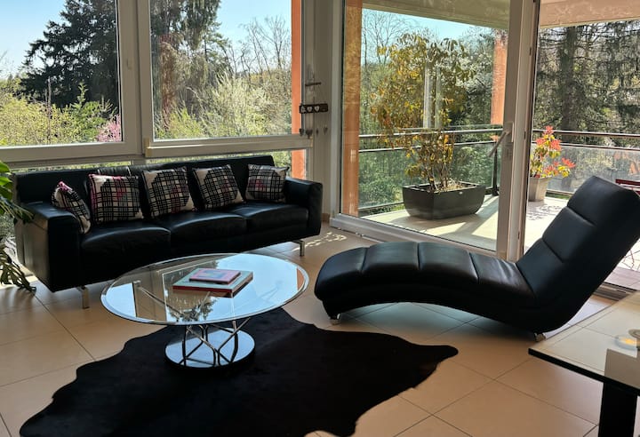 Spacieux Appartement De 3 Chambres - Mulhouse