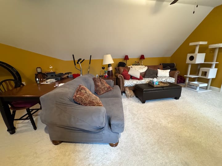 Quiet Room In Horse Country - North Carolina