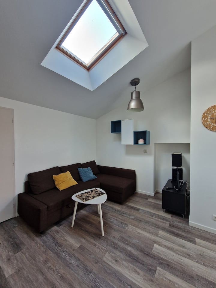 Location Proche Foret,plage,marais Olonne Sur Mer - Olonne-sur-Mer