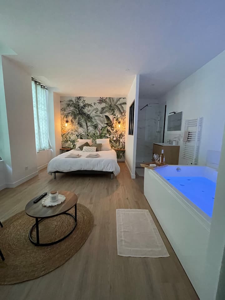 Le Duplex : Balneo, Lit Queen Size - Beaugency