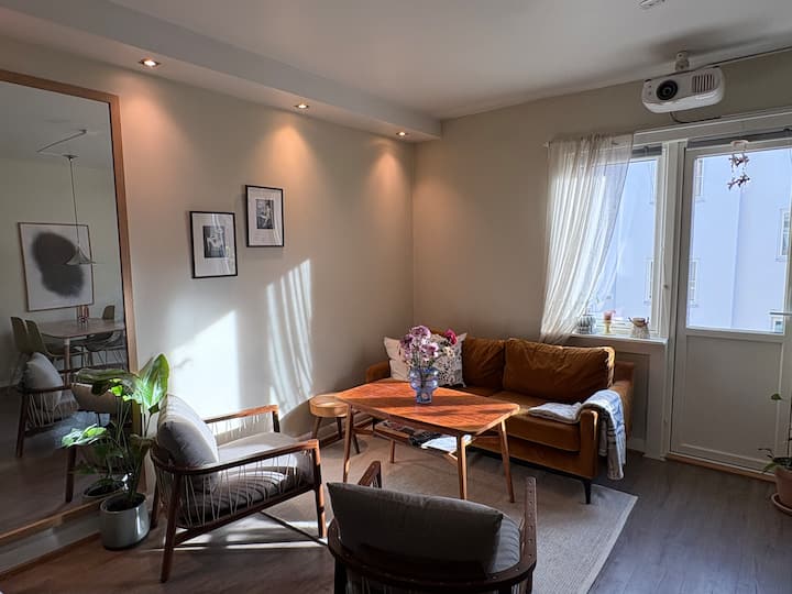 Koselig Leilighet På Tøyen - Oslo