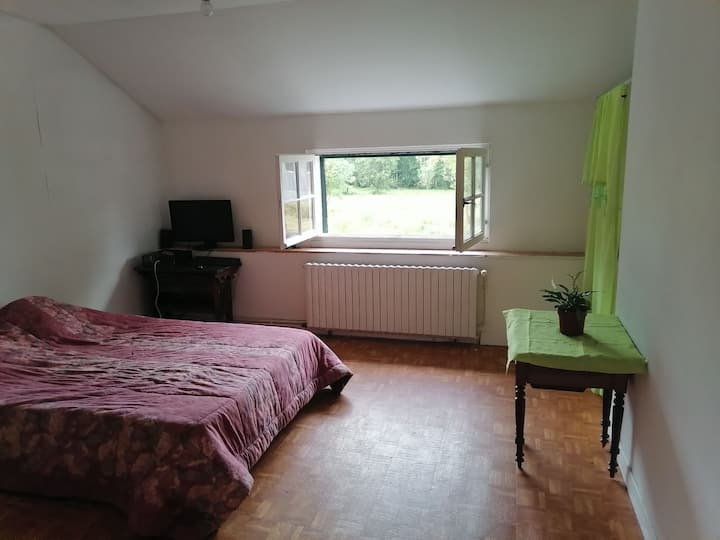 Jolie Maison, Rivière Et Forêt - Vierzon