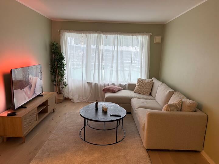 Cozy Apartment 15 Minutes From Oslo City Center. - Oslo
