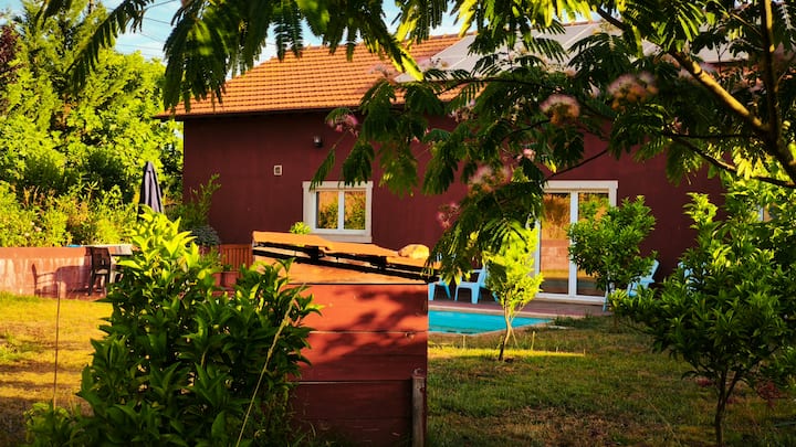 Quinta Do Outono - The Olive Grove House - Armamar