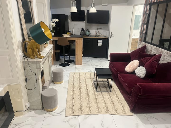 F1 Centre-ville Immeuble Classé Historiquement - Saint-Vallier