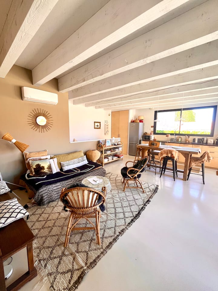 Nid Douillet Sur Roof Top - Perpignan