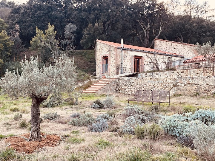 Gîte Dans Grange Rénovée – Calme, Céret - Le Boulou
