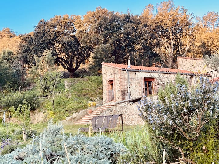 Gîte Dans Grange Rénovée – Calme, Céret - Céret