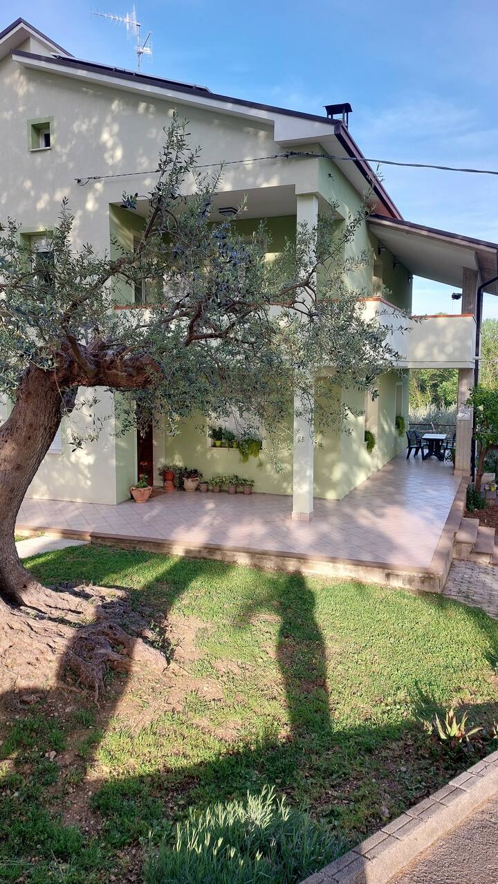 Conny's Green House - Lanciano
