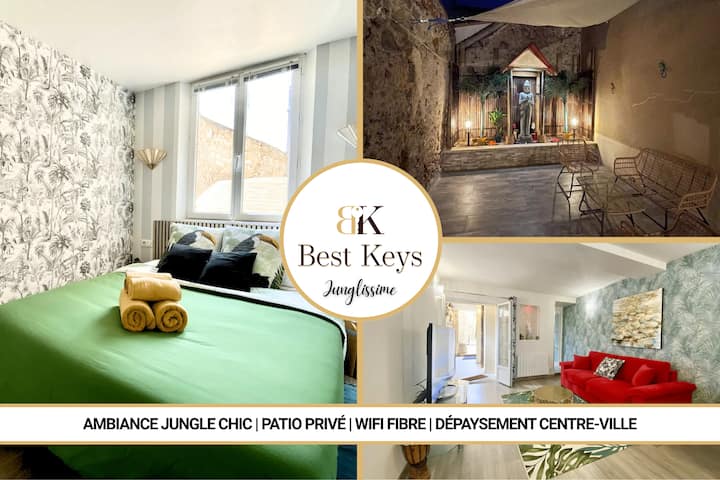 Junglissime • Grand Patio • Centre Ville & Netflix - Sens
