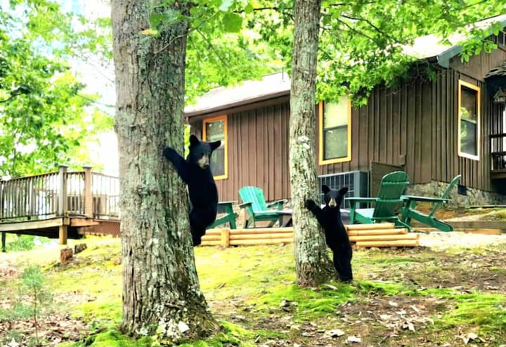 Authentic,rustic,cute,cozy & Close To Everything! - Townsend, TN