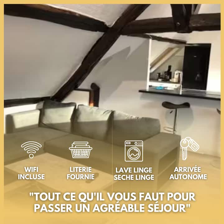 La Maison Gauloise - Asterix/cdg/paris/merdesable - Parc Astérix